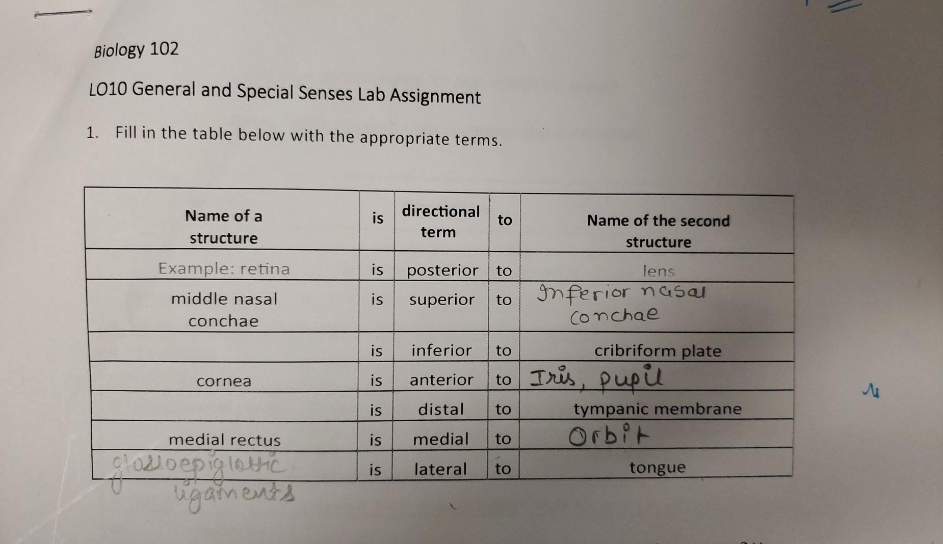 Solved Biology 102 L010 General and Special Senses Lab | Chegg.com