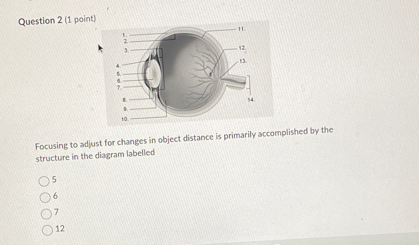 Solved Question 2 (1 ﻿point)Focusing to adjust for changes | Chegg.com