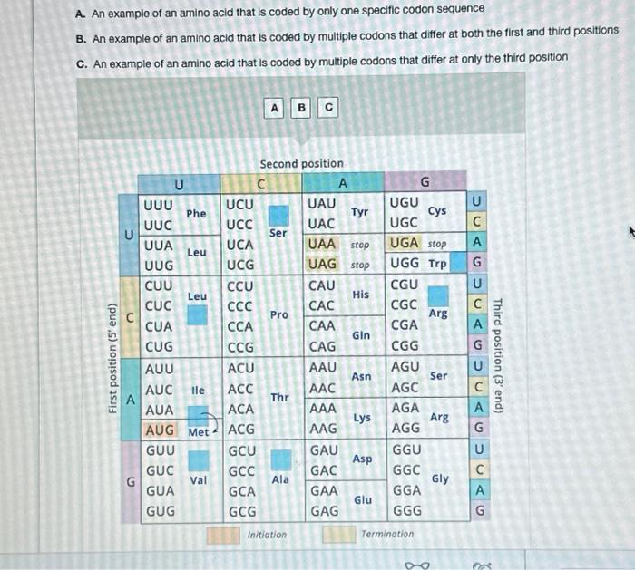 Solved A. An example of an amino acid that is coded by only | Chegg.com