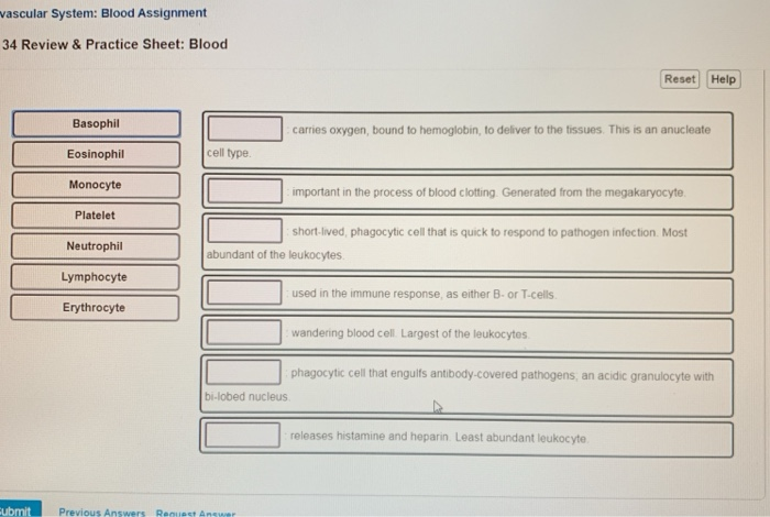 Solved wascular System: Blood Assignment 34 Review & | Chegg.com