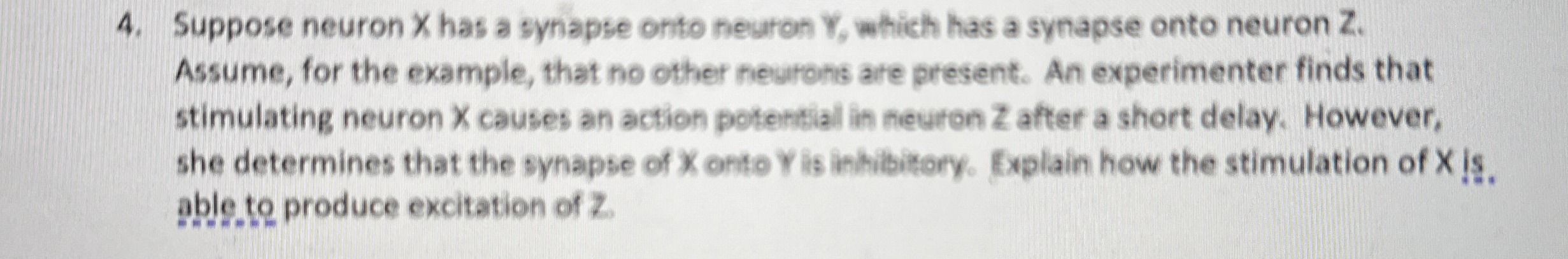 Solved Suppose neuron x ﻿has a synapse onto neuron Y, ﻿which | Chegg.com
