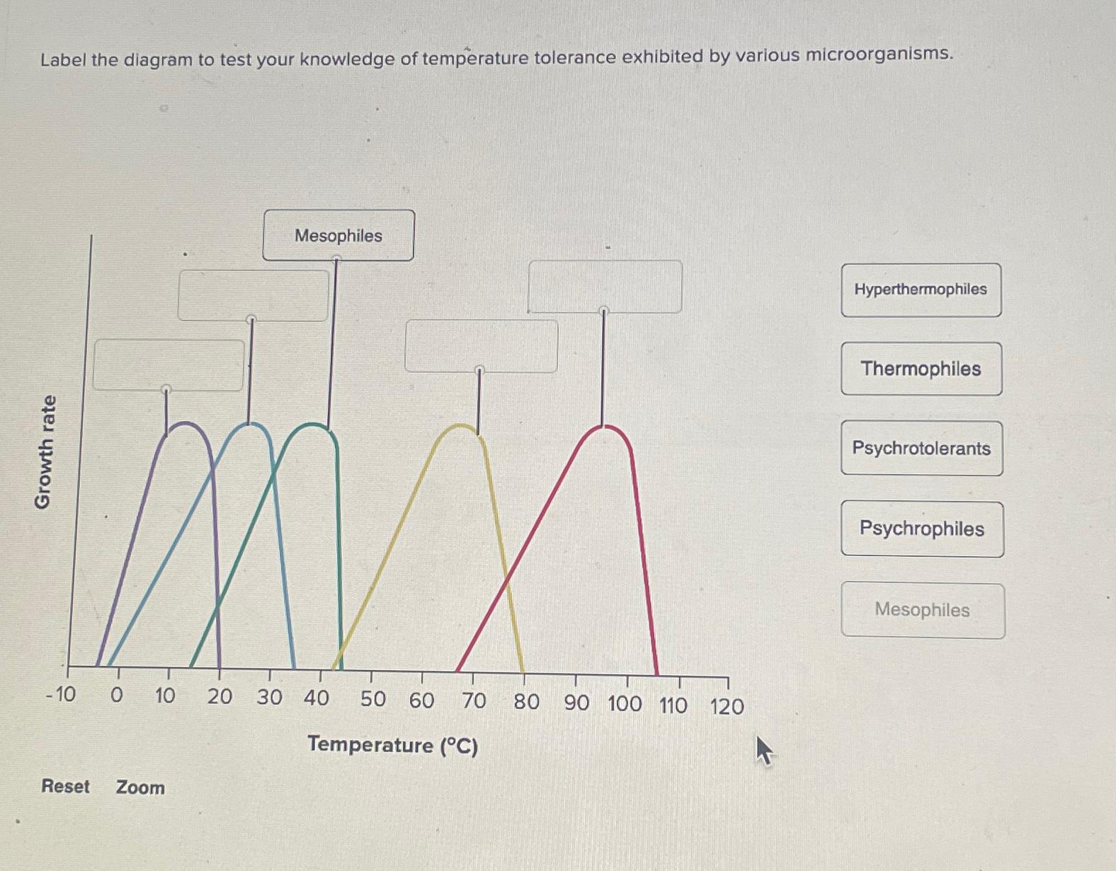 Solved Label the diagram to test your knowledge of | Chegg.com