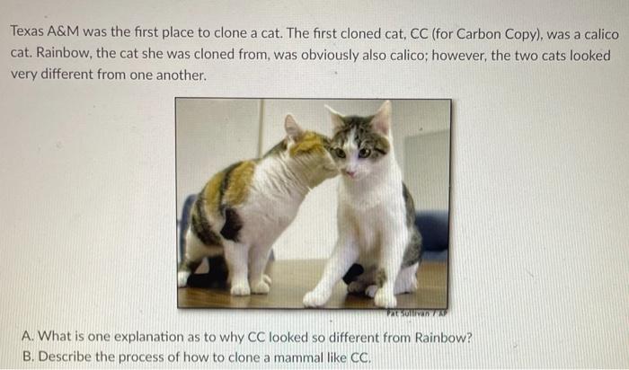 Solved Texas A&M was the first place to clone a cat. The | Chegg.com