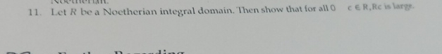 Solved Let R ﻿be a Noetherian integral domain. Then show | Chegg.com