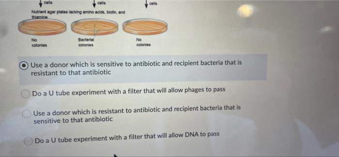 Solved LUCUVIA WHI in the conjugation experiment, how can | Chegg.com