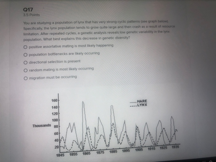 Solved Q17 3.5 Points You are studying a population of lynx | Chegg.com