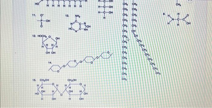 Solved Which of the molecules below is an ionized amino acid | Chegg.com