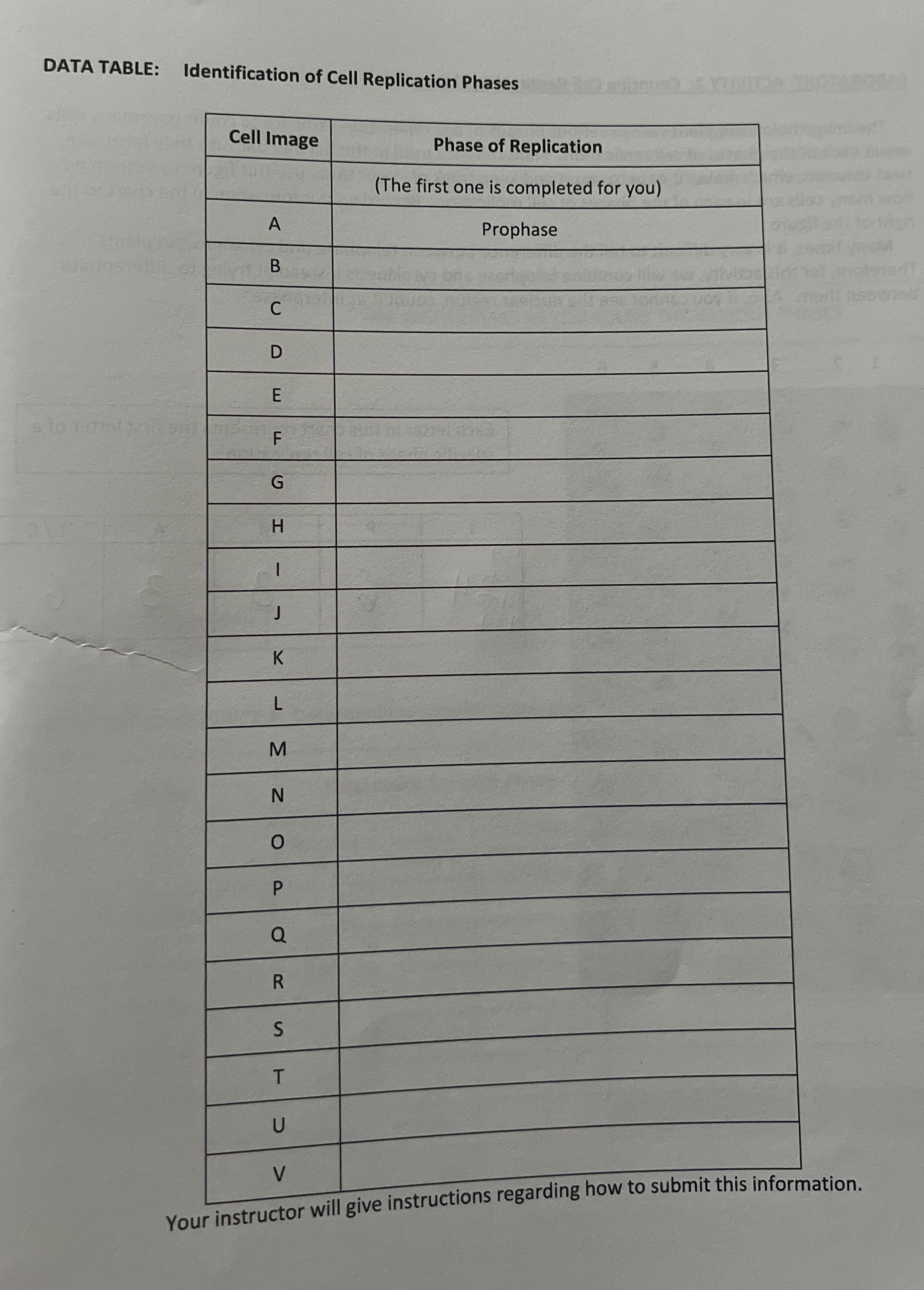 Solved LABORATORY ACTIVITY 1: Identification of ﻿Cell | Chegg.com