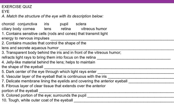 Solved EXERCISE QUIZ EYE A. Match the structure of the eye | Chegg.com