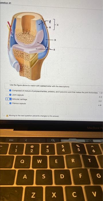 Solved Use the figure above to malch wth correct wtier with | Chegg.com