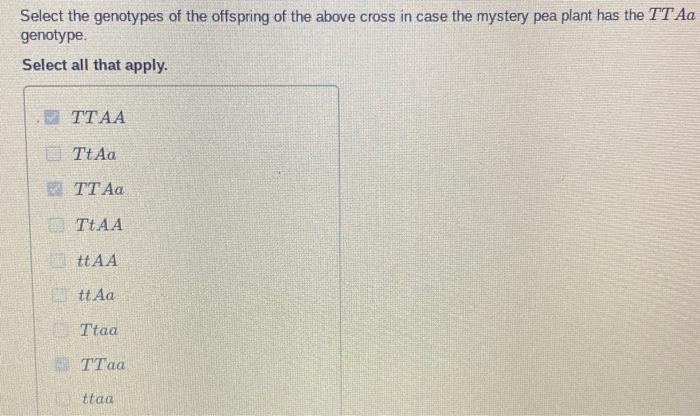Solved Select the genotypes of the offspring of the above | Chegg.com