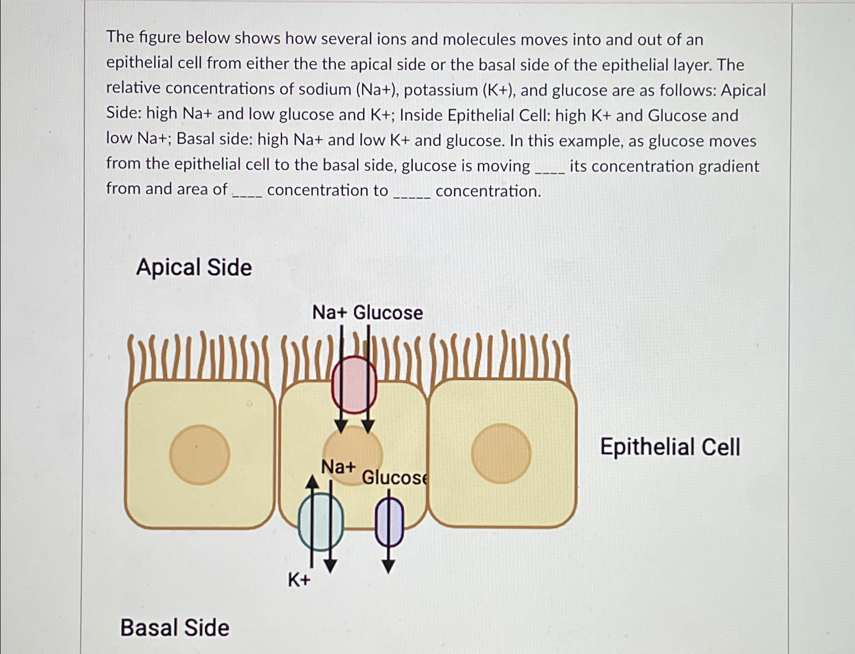 Solved The figure below shows how several ions and molecules | Chegg.com