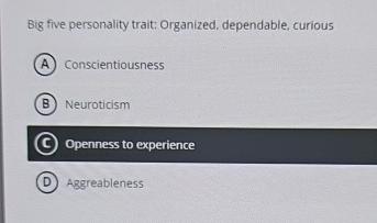 Solved Big five personality trait: Organized, dependable, | Chegg.com