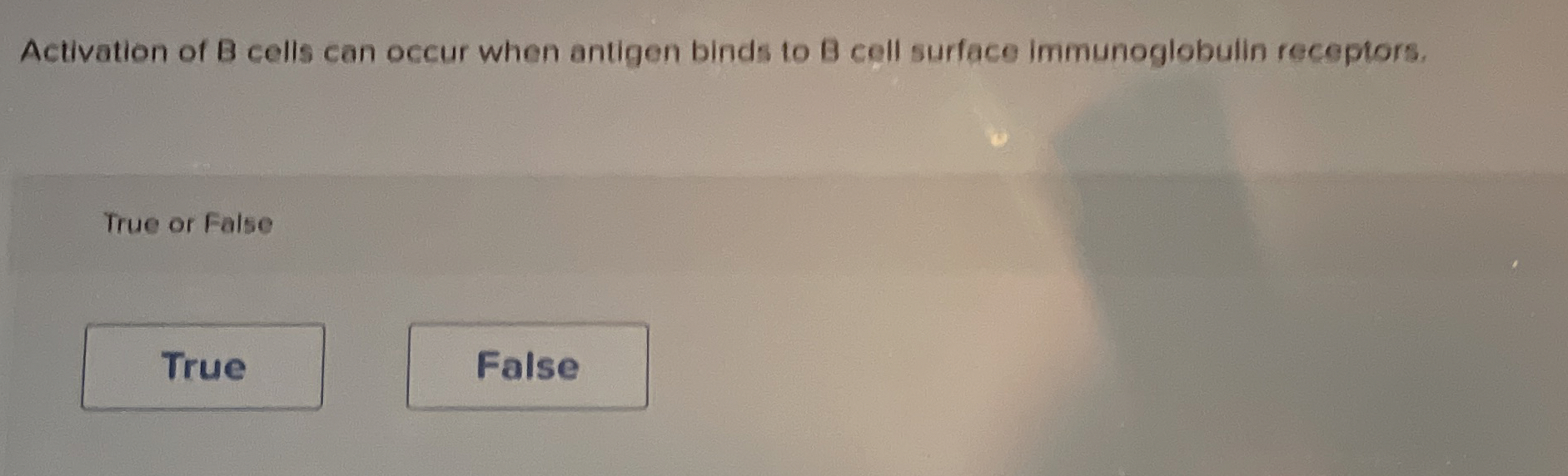 Solved Activation of B ﻿cells can occur when antigen binds | Chegg.com