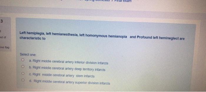 Solved exam 3 Left hemiplegia, left hemianesthesia, left | Chegg.com