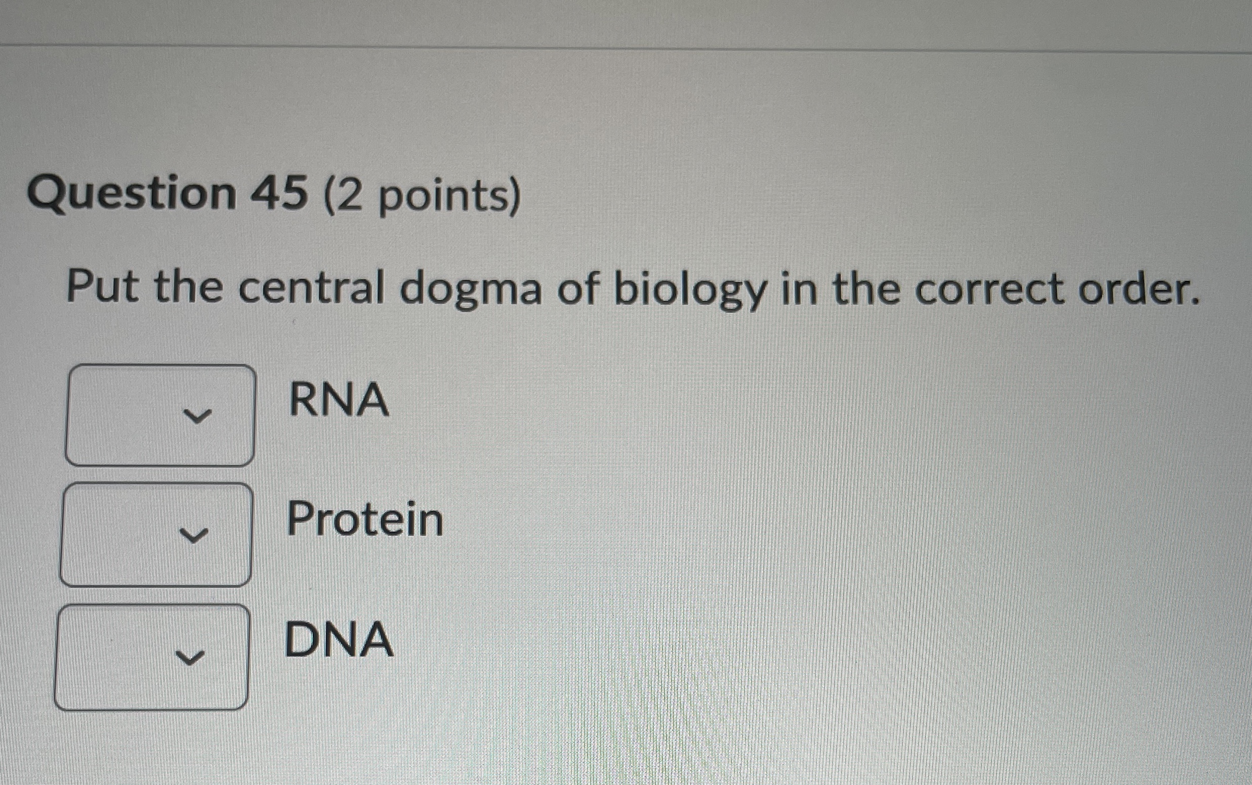Solved Question 45 (2 ﻿points)Put the central dogma of | Chegg.com
