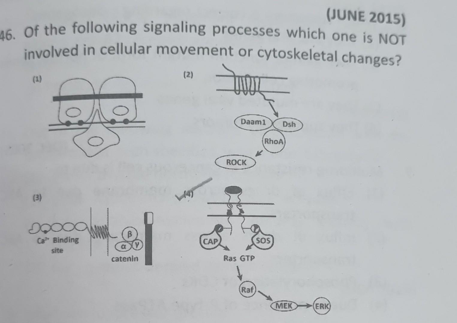 Solved (JUNE 2015) 5. Of the following signaling processes | Chegg.com