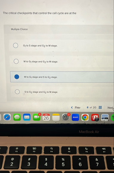 Solved The critical checkpoints that control the cell cycle | Chegg.com
