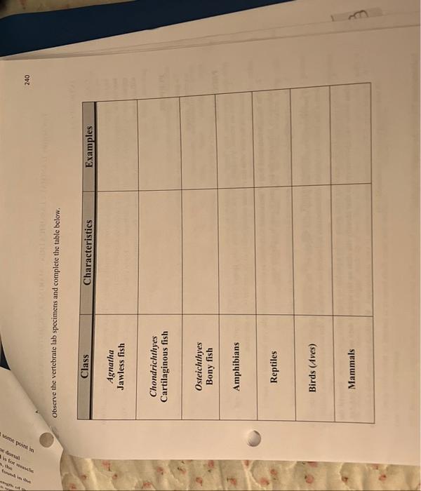 Solved Observe the vertebrate lab specimens and complete the | Chegg.com