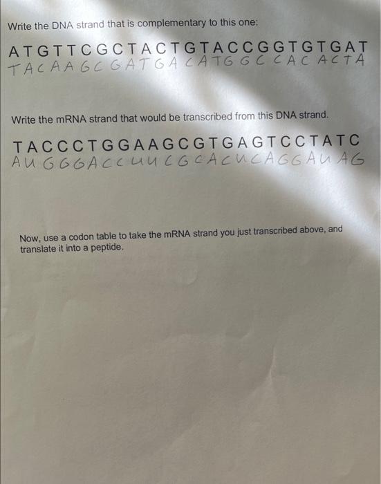 Solved Write the DNA strand that is complementary to this | Chegg.com
