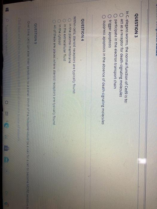 Solved Question Completion Status: QUESTION 1 in the IP3 | Chegg.com