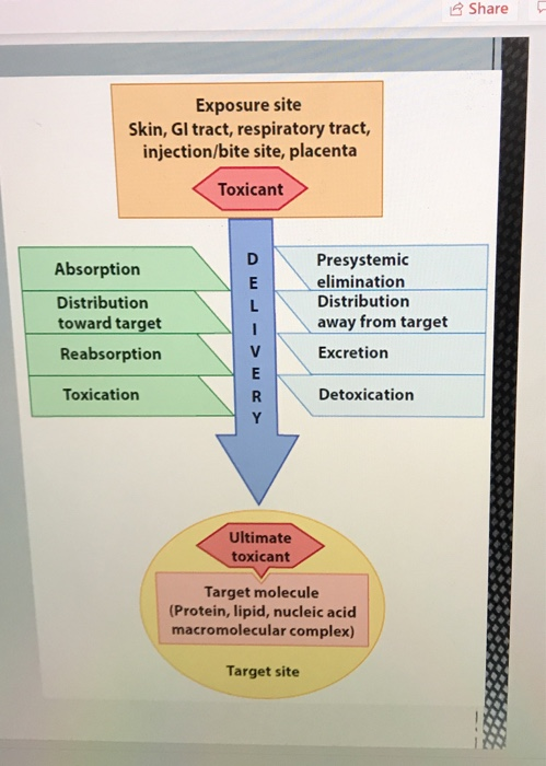 Solved can some one describe about each step of 8 actions to | Chegg.com