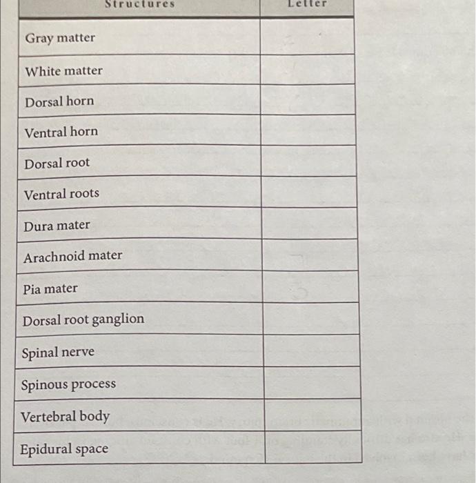Solved Suffolk Table 9.4 Suffolk Figure 9.4 | Chegg.com