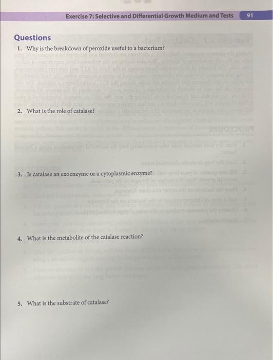 Solved 1. Why is the breakdown of peroxide useful to a | Chegg.com