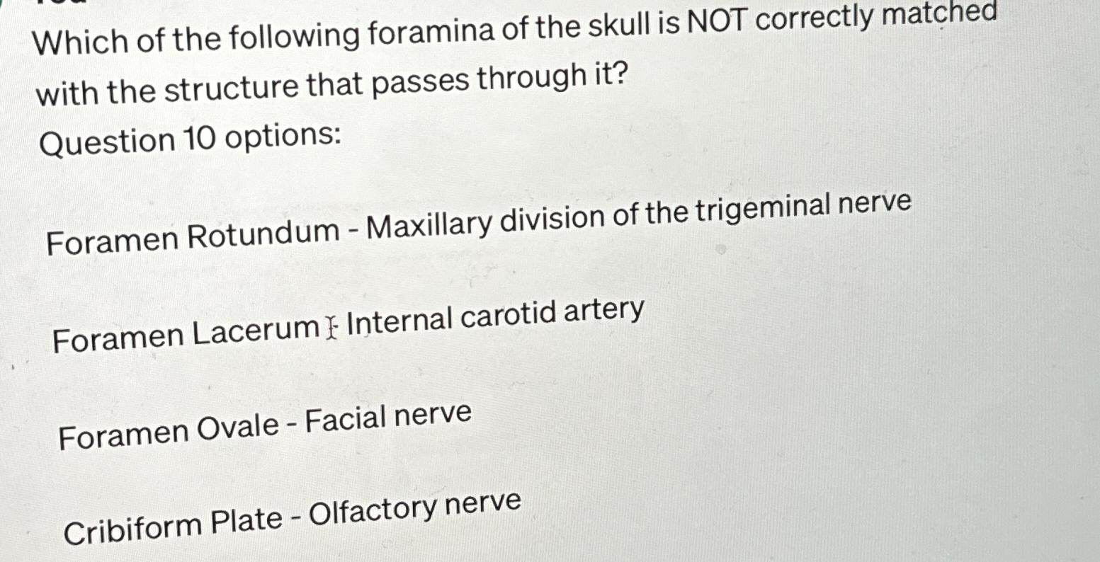 Solved Which of the following foramina of the skull is NOT | Chegg.com