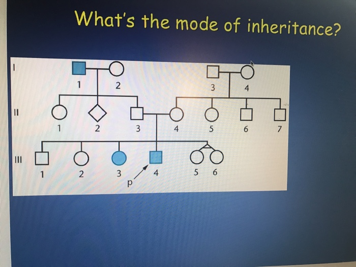 Solved What's the mode of inheritance? | Chegg.com
