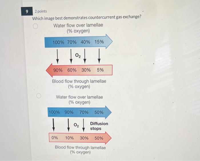 Solved 2 points Which image best demonstrates countercurrent | Chegg.com