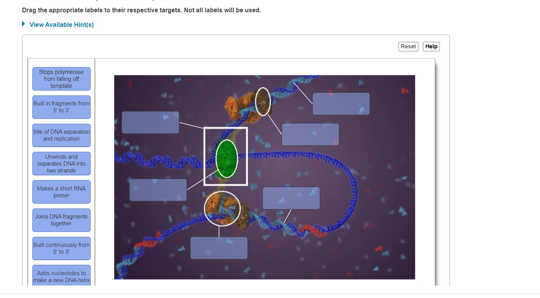 Solved Drag the appropriate labels to their respective | Chegg.com
