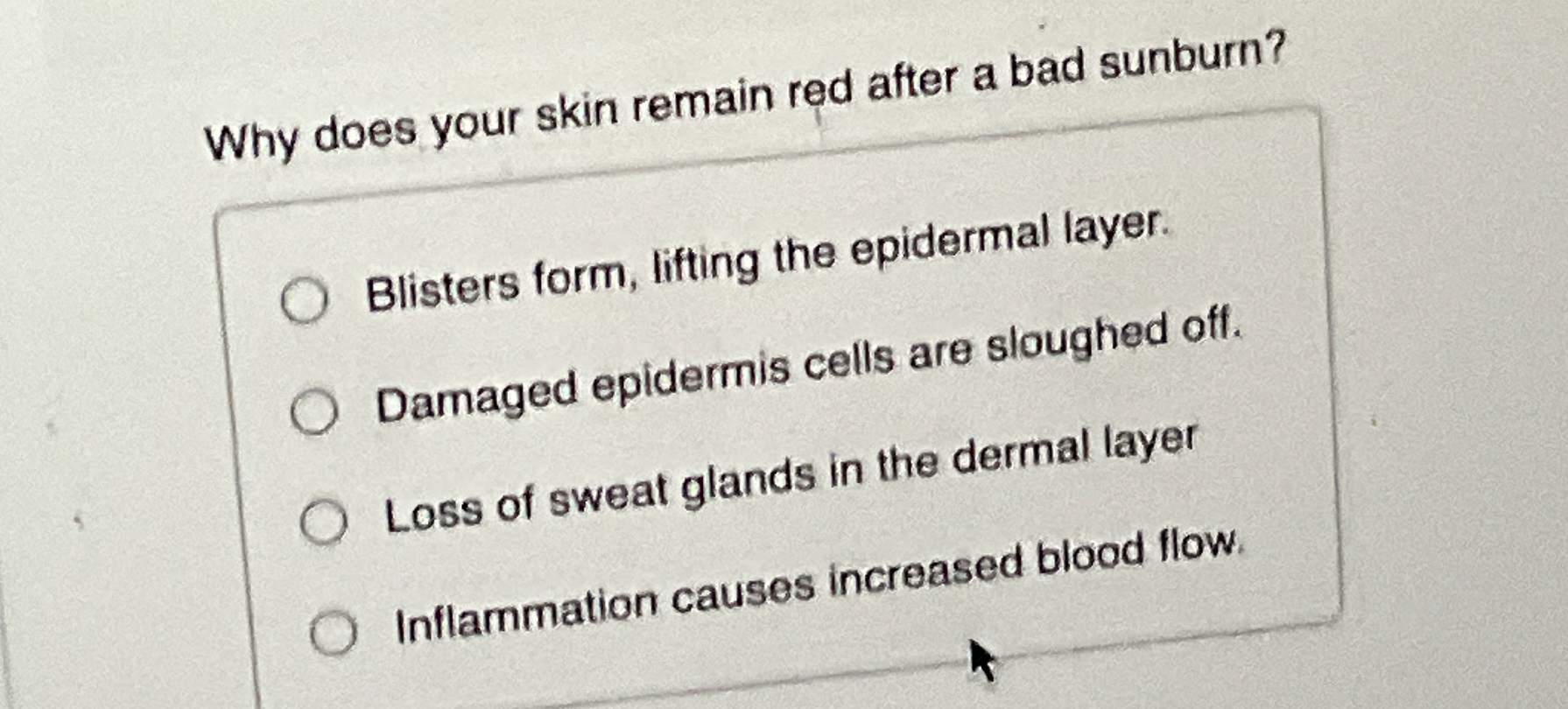 Solved Why does your skin remain red after a bad | Chegg.com