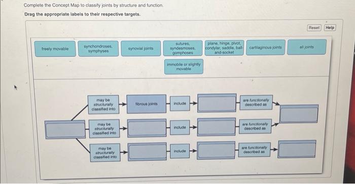 Solved Complete the Concept Map to classity joints by | Chegg.com