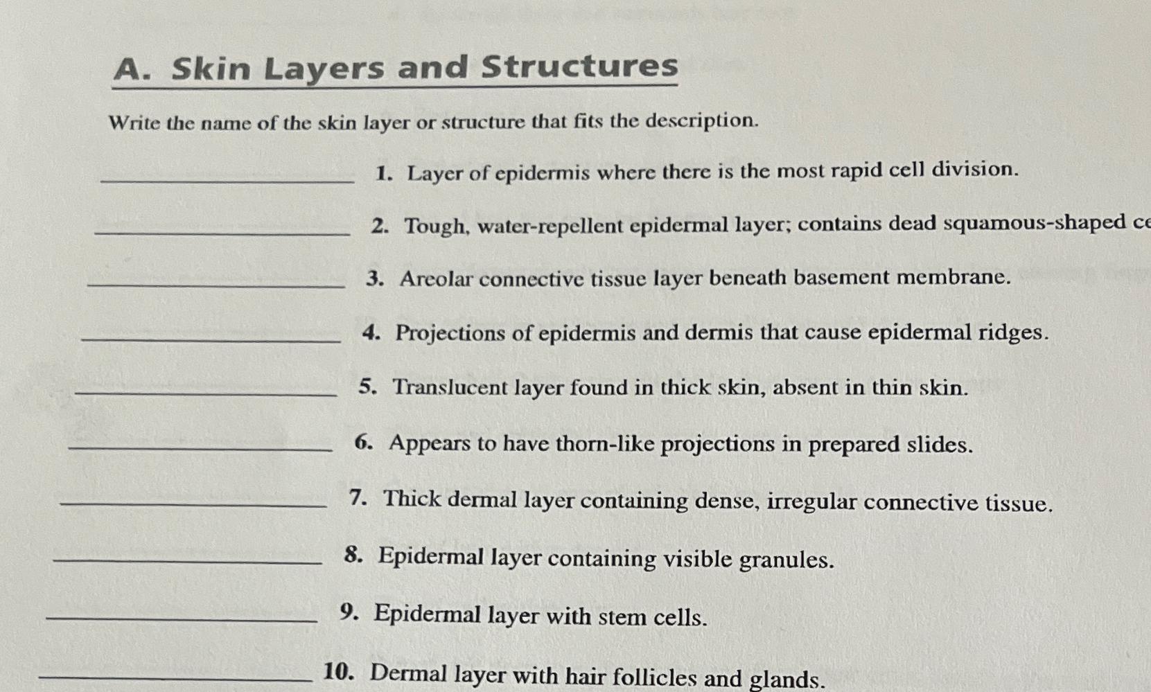 Solved A. ﻿Skin Layers and StructuresWrite the name of the | Chegg.com
