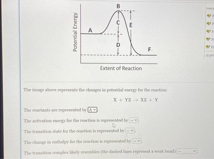 Solved B E MA A D Potential Energy Extent of Reaction The | Chegg.com