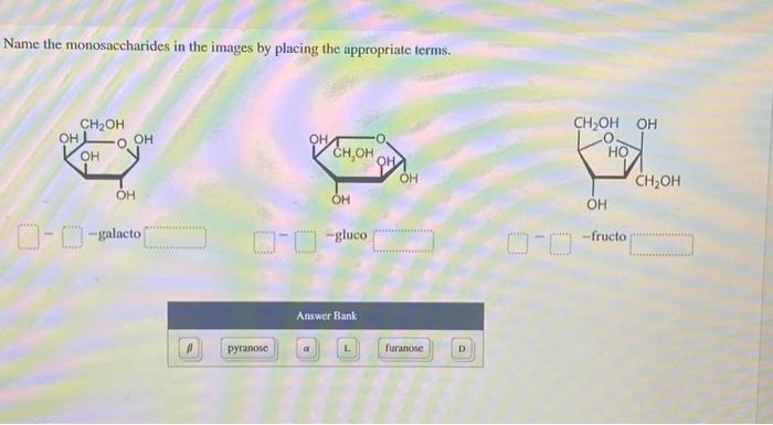 Solved Name the monosaccharides in the images by placing the | Chegg.com
