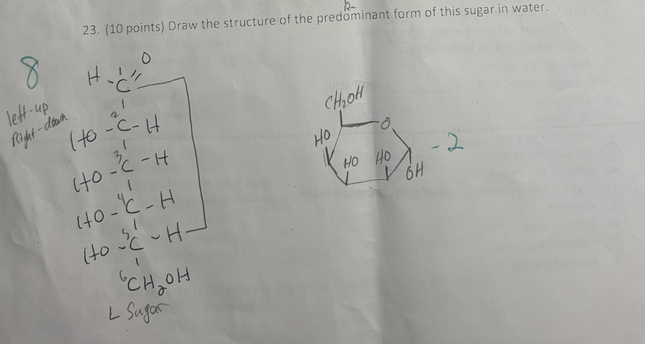 Solved (10 ﻿points) ﻿Draw the structure of the predominant | Chegg.com