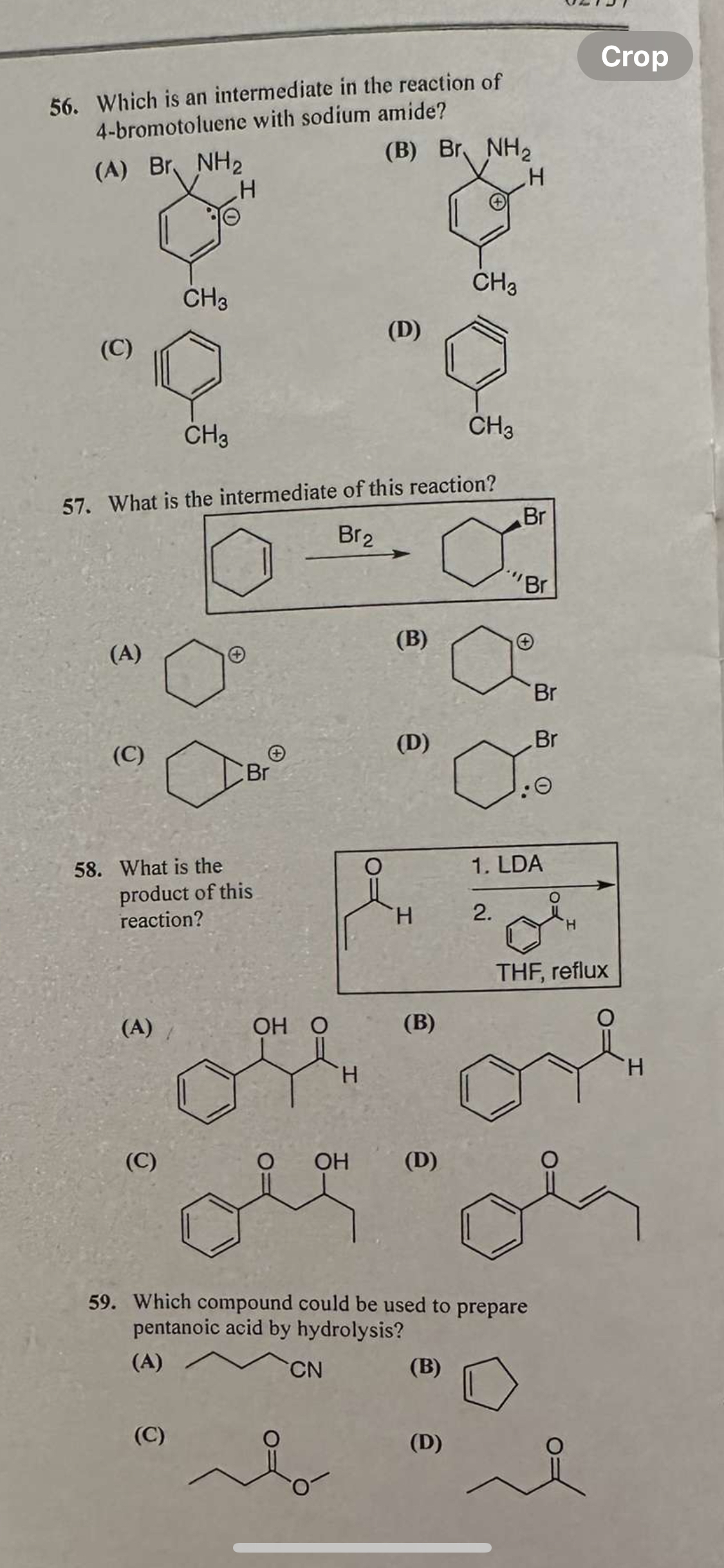 Solved Which is an intermediate in the reaction of | Chegg.com