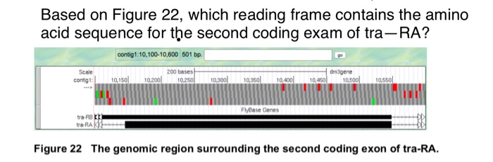 Based on Figure 22, which reading frame contains the | Chegg.com