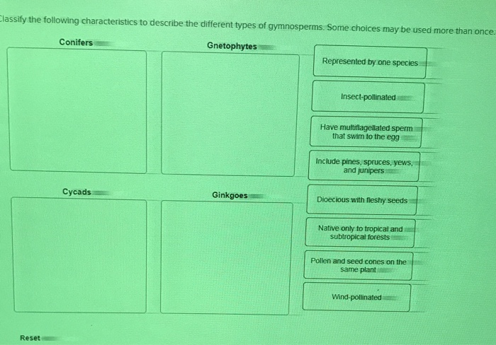 Solved: Classify The Following Characteristics To Describe... | Chegg.com