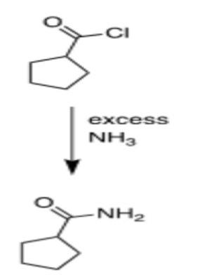 Solved -CI excess NH3 -NH2 | Chegg.com