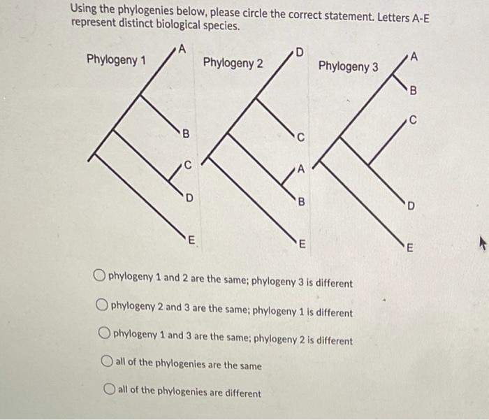 Solved Using the phylogenies below, please circle the | Chegg.com