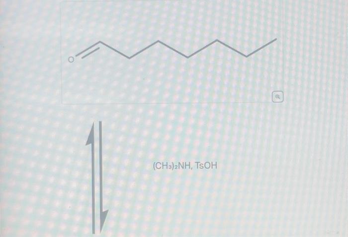 Solved (CH3)2NH,TsOHDraw the major product of this reaction. | Chegg.com