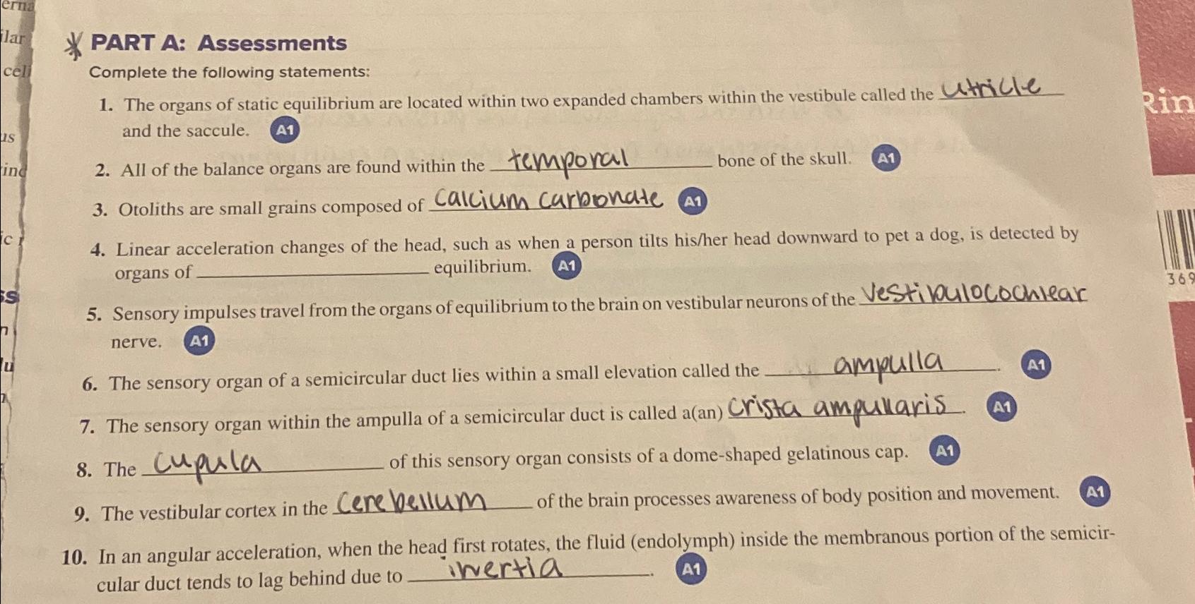 Solved PART A: AssessmentsComplete the following | Chegg.com