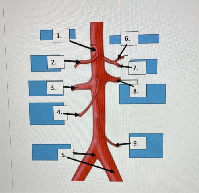 Solved Im having trouble getting the rest of these but also | Chegg.com