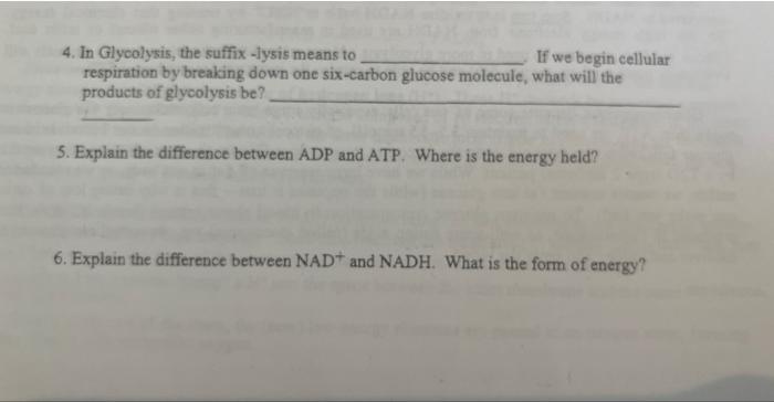 Solved 4. In Glycolysis, the suffix -lysis means to If we | Chegg.com