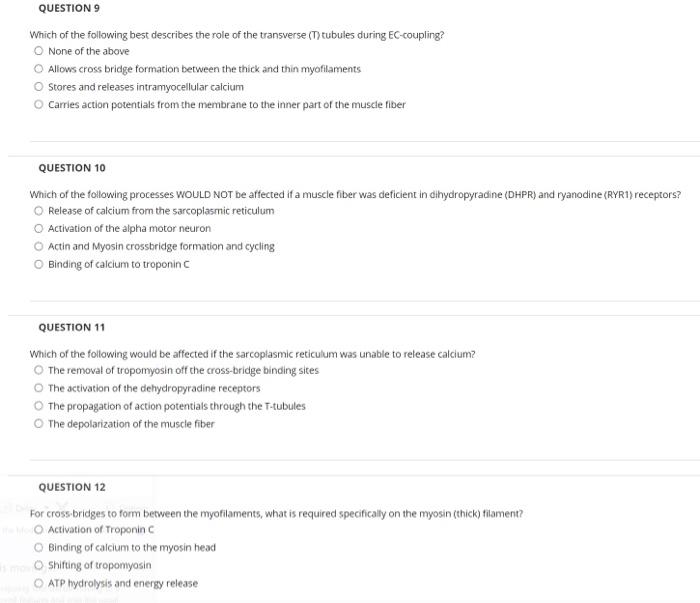 Solved QUESTION 9 Which of the following best describes the | Chegg.com