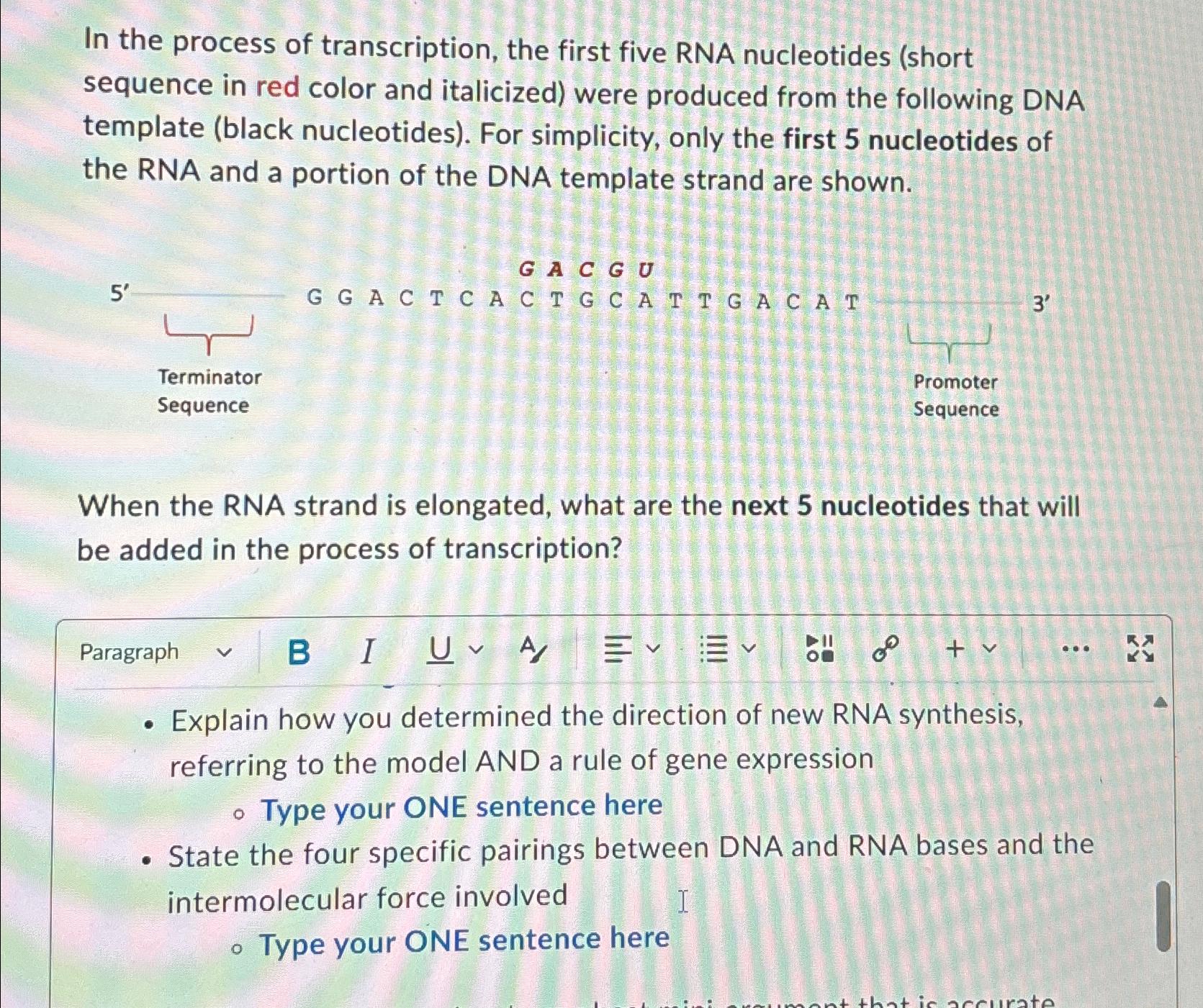 Solved In the process of transcription, the first five RNA | Chegg.com