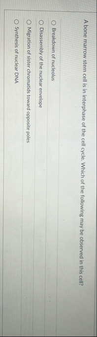 Solved A bone marrow stem cell is in interphase of the cell | Chegg.com